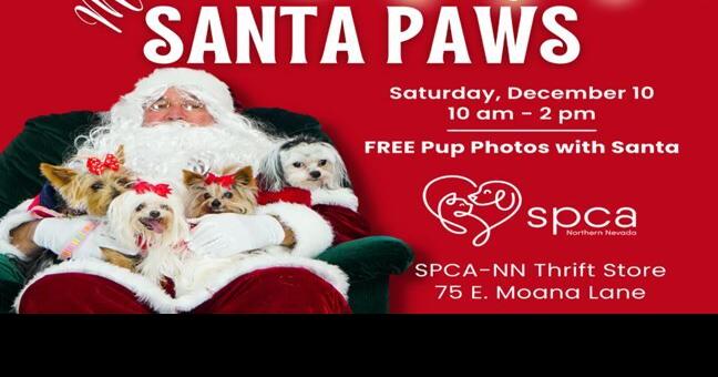 SPCA to Hold 'Meet Santa Paws' Event at Reno Thrift Store | News ...