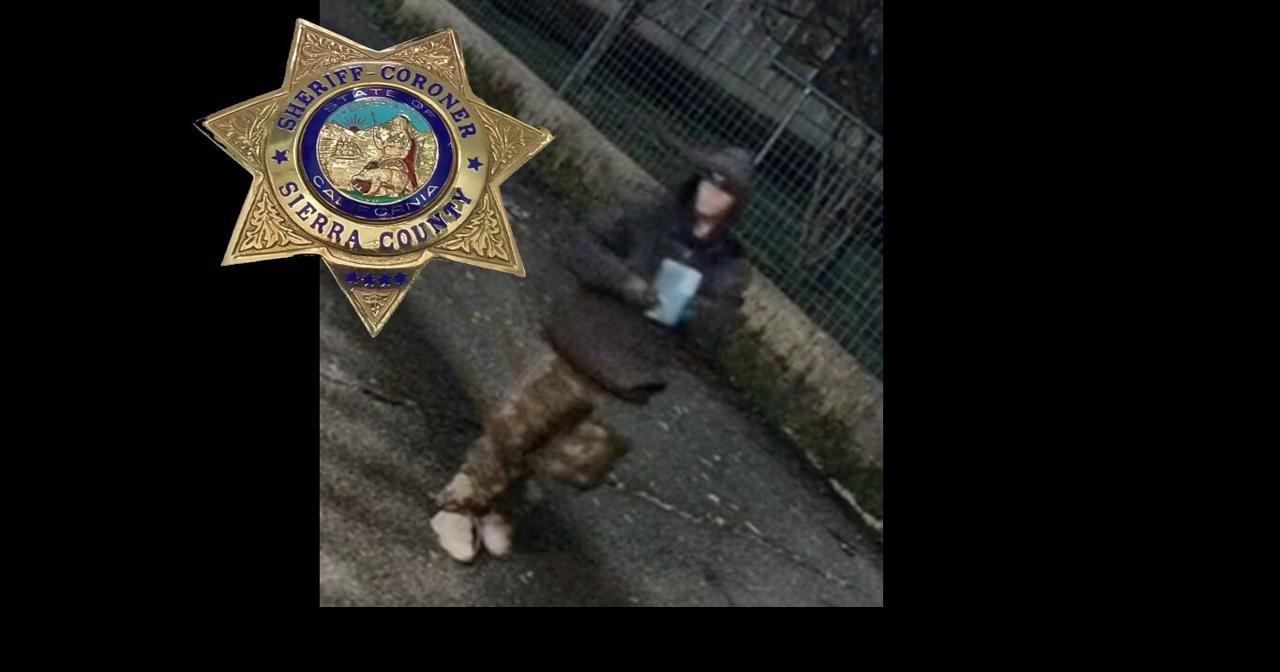 Deputies seek help after series of overnight car break-ins in ...