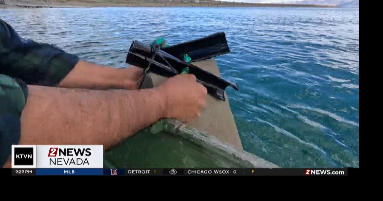 Pyramid Lake Aquatic Invasive Species Program Deploys Samplers to Help ...