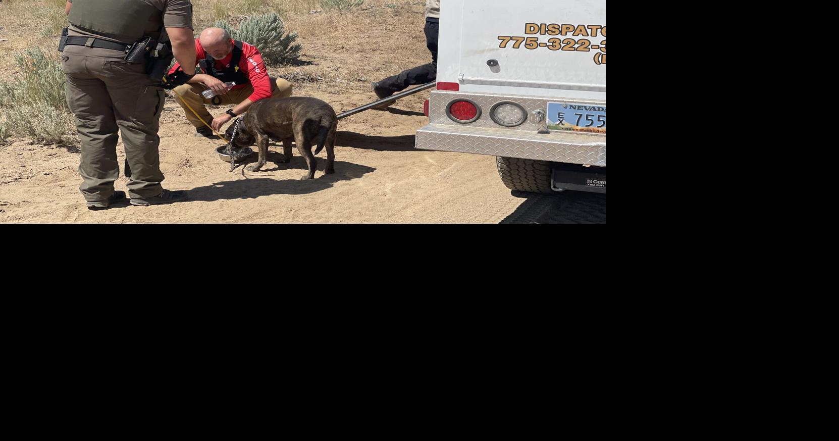 WCSO Deputies Reunite Owner and Dog | News | 2news.com