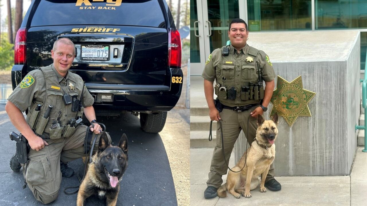 Carson City Sheriff's Office welcomes two new K9 officers and their ...
