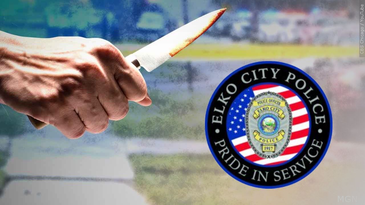 Man arrested after stabbing at Elko bar | Nevada News | 2news.com