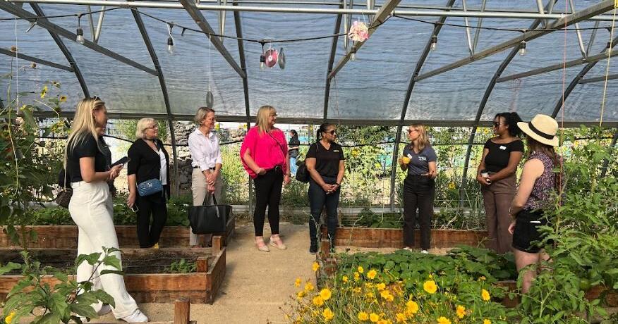 Reno Nonprofit Urban Roots Awarded $92,000 in Funds As Community ...