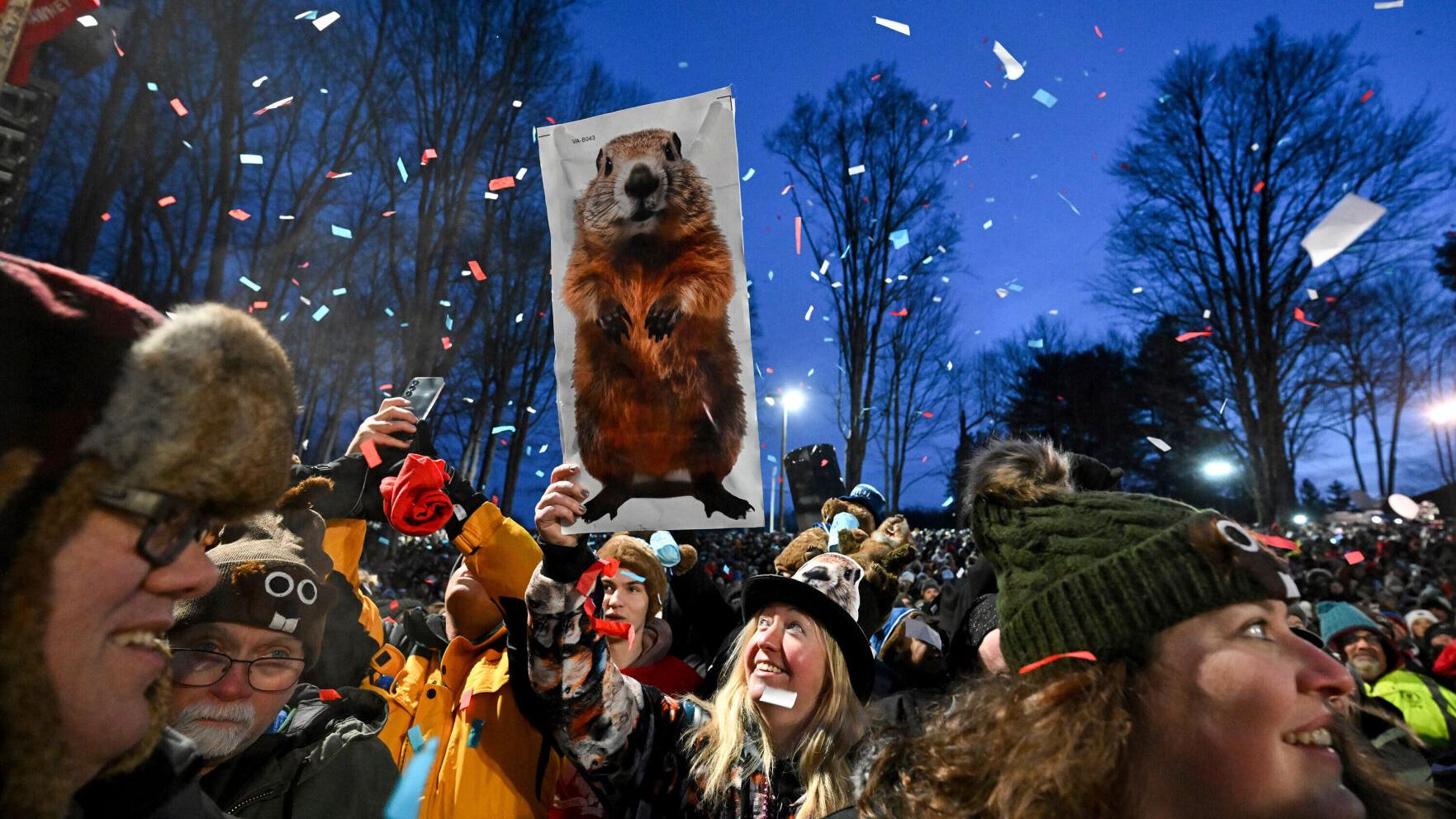 Punxsutawney Phil prepares to issue his Groundhog Day weather verdict ...