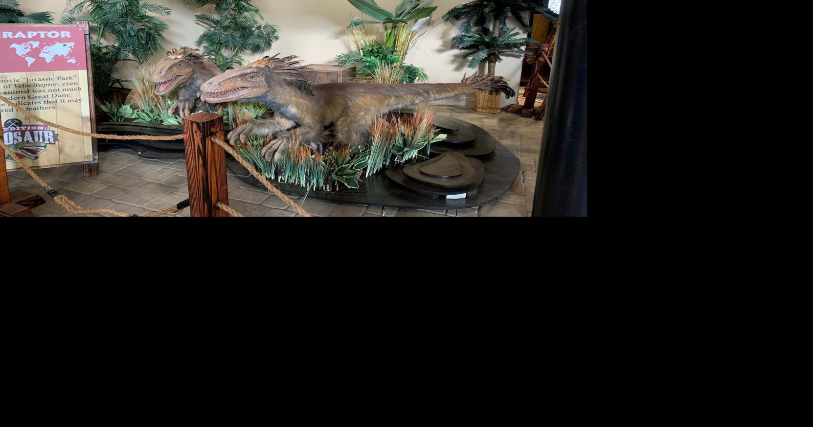 Expedition Dinosaur exhibit opens at Wilbur D. May Museum | News ...