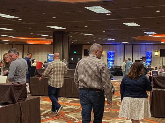 National Alliance of Mental Illness Northern Nevada Holds Inaugural ...