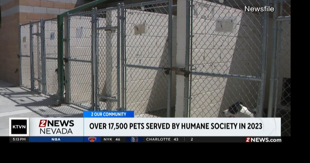 Over 17,500 Pets Served by Humane Society in 2023 | News | 2news.com