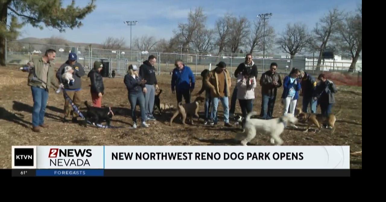 Dogs have a new place to play in northwest Reno | Local News | 2news.com