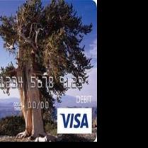 Nevada Child Support Debit Card Changing | | 2news.com