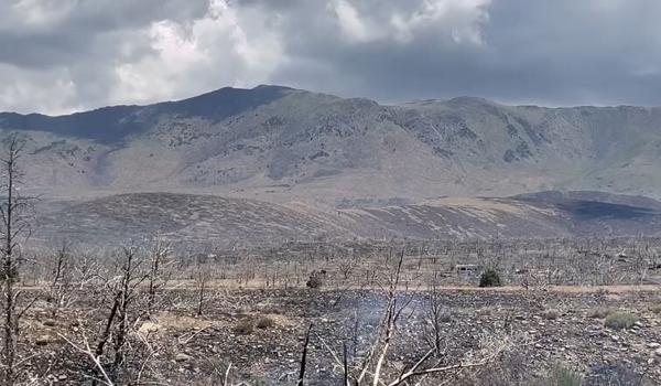 Conner Fire stalls at 17,714 acres, 96% containment south of ...