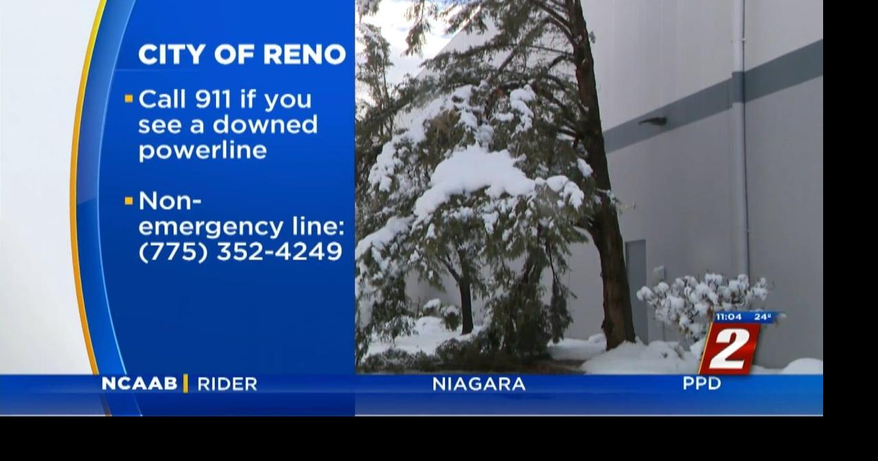 Reno, Sparks Cleaning Up Downed Trees After Winter Storm | News | 2news.com