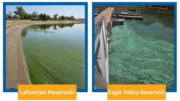 Lahontan Reservoir increased to HAB Warning | Local News | 2news.com