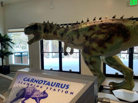 Expedition Dinosaur exhibit opens at Wilbur D. May Museum | News ...