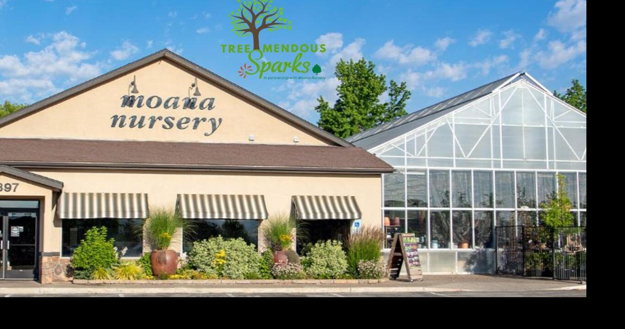 City of Sparks offers free trees to 300 residents through TreeMendous ...