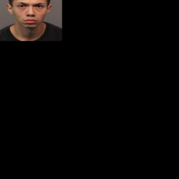 Reno Man Accused of Stealing SUV, Leading Police on Chase | News ...