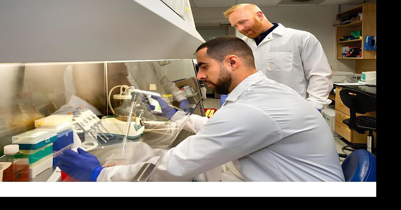 University of Nevada, Reno study finds lab-grown dairy proteins differ ...