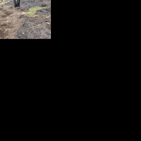 Crews Fully Contain Jones Creek Fire Burning Near Mt. Rose Highway ...