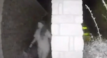 Texas DPS seeks public's help in solving 2018 disappearance of Caitlin ...