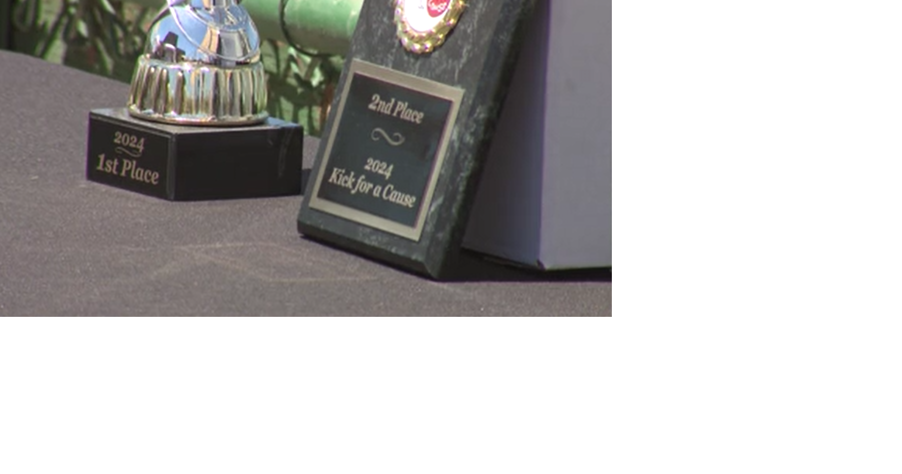 'Kick for a Cause' Kickball Tournament Raises Money for Kids with ...