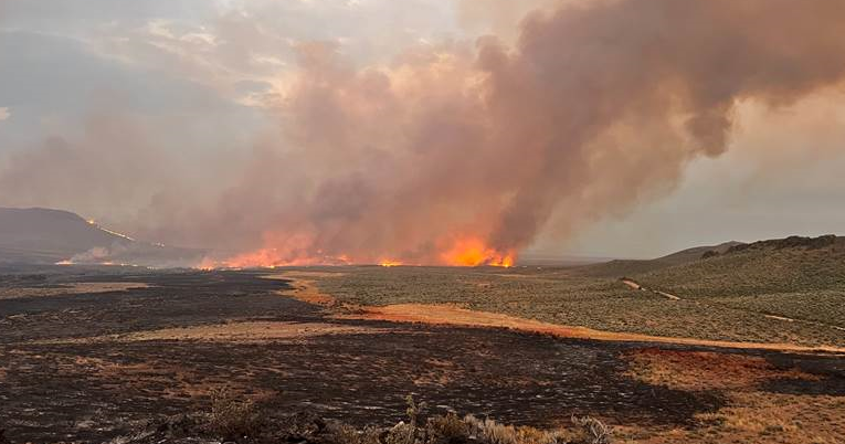 Wildcat Fire in Elko County Fully Contained | News | 2news.com