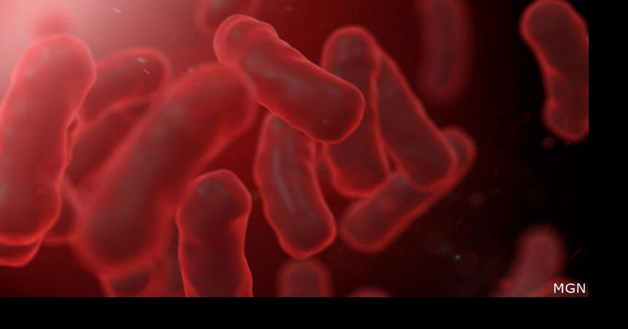 Plague Found in Domestic Cat in Sierra County | News | 2news.com