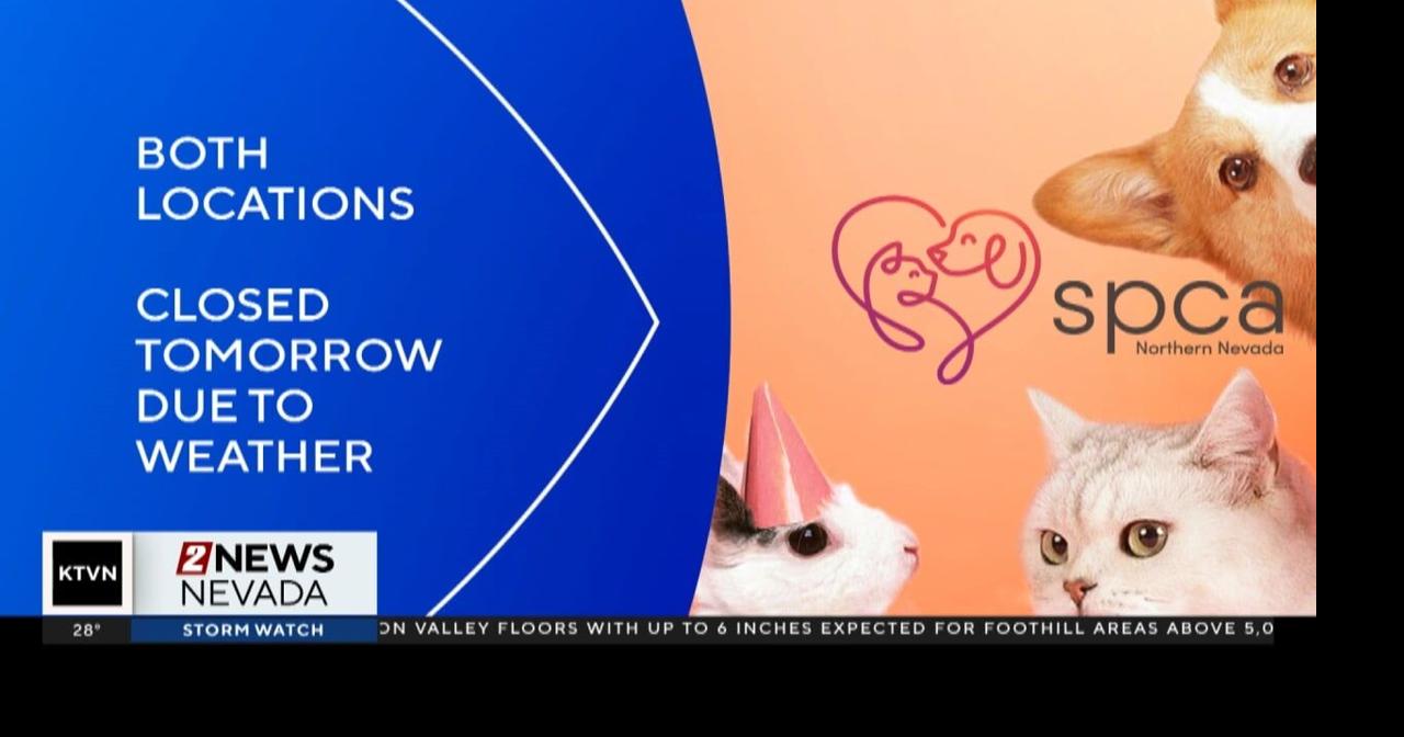 Both SPCA of Northern Nevada locations closed Thursday due to weather ...