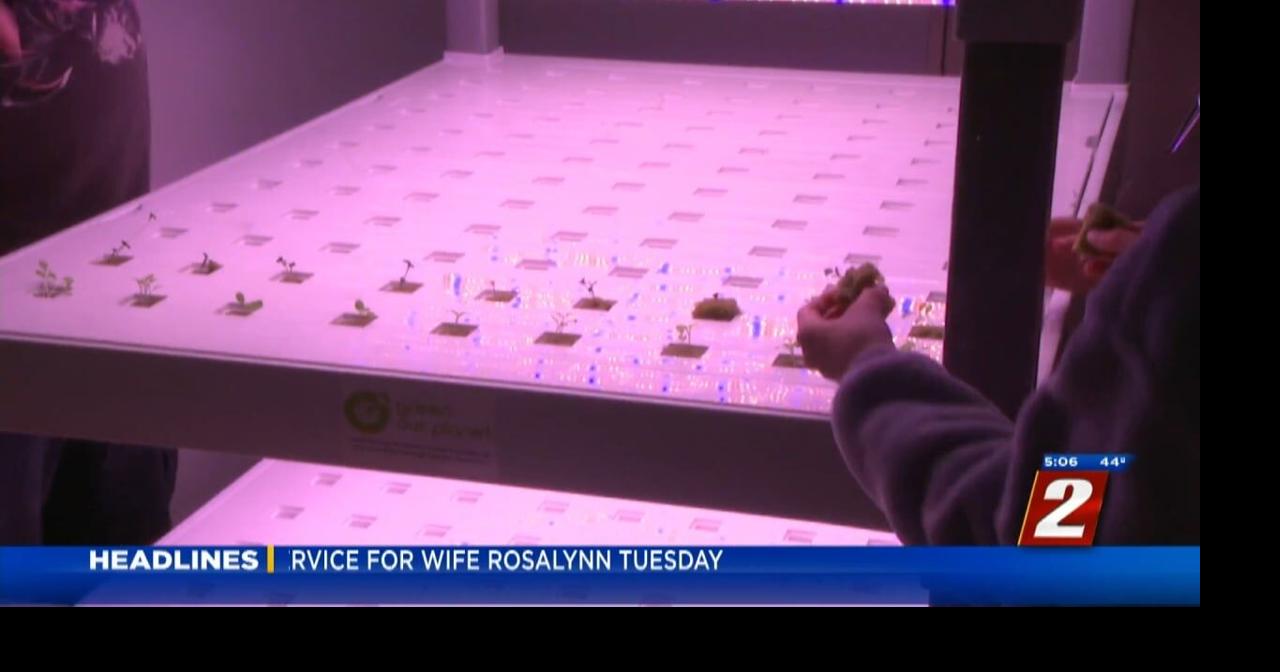 Hydroponic Garden at Huffaker Elementary gets Students Excited about ...