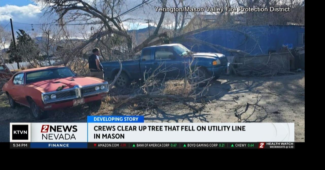 Tree Fell onto Utility Line in Mason | News | 2news.com