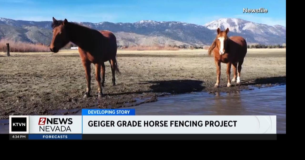 Wild Horse Fencing Project along a stretch of Geiger grade has now ...