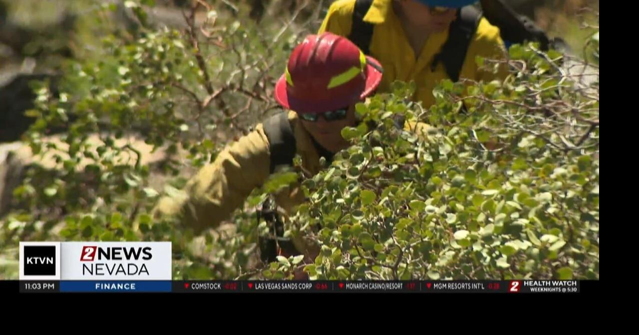 The Nevada Department of Forestry Hosts Last Day of Fire Academies with ...