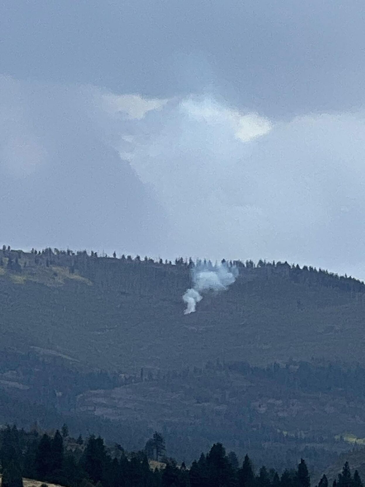 Babbitt Fire burning in Sierra County | Fire Watch | 2news.com
