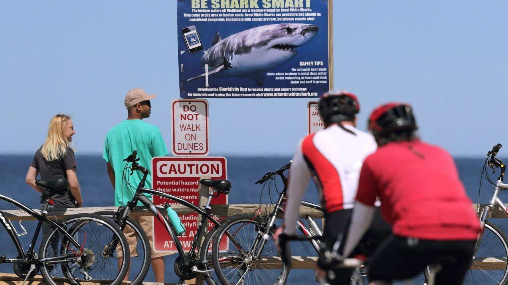 Shark attack on Alabama teen inspires the start of a national alert ...