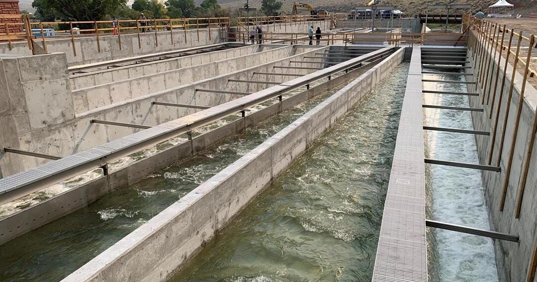 Crews Complete Derby Dam Fish Screen | | 2news.com