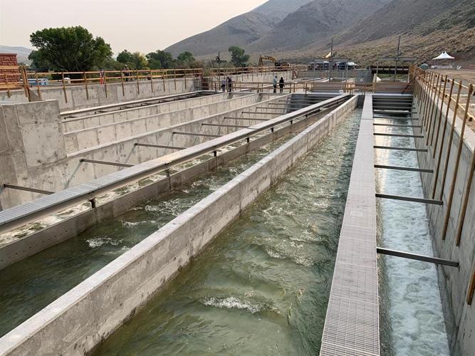 Crews Complete Derby Dam Fish Screen | | 2news.com