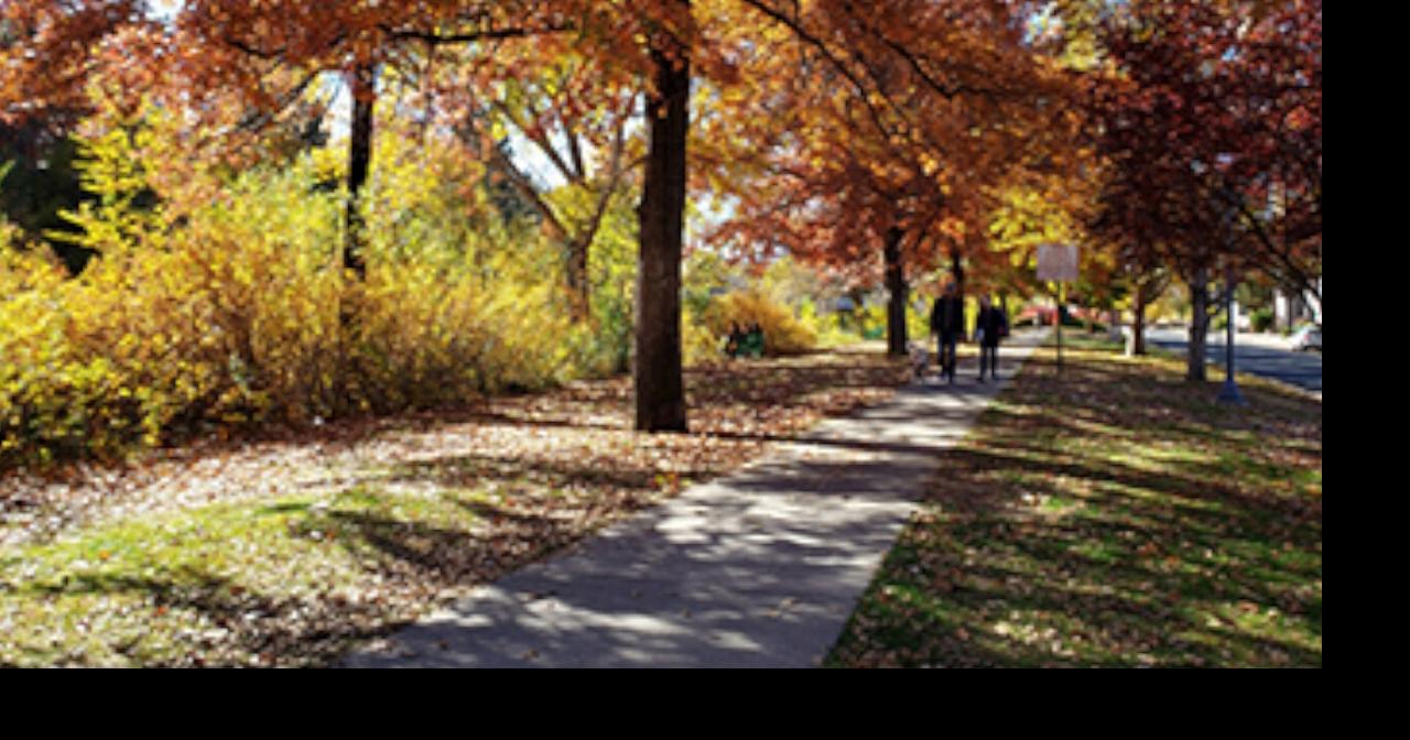 Riverside Drive pathway to close for months during riverbank upgrades ...