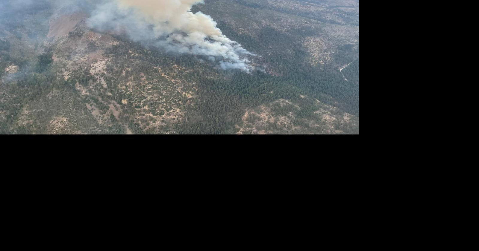 Wolf Creek Fire in Alpine County Now 100% Contained | News | 2news.com