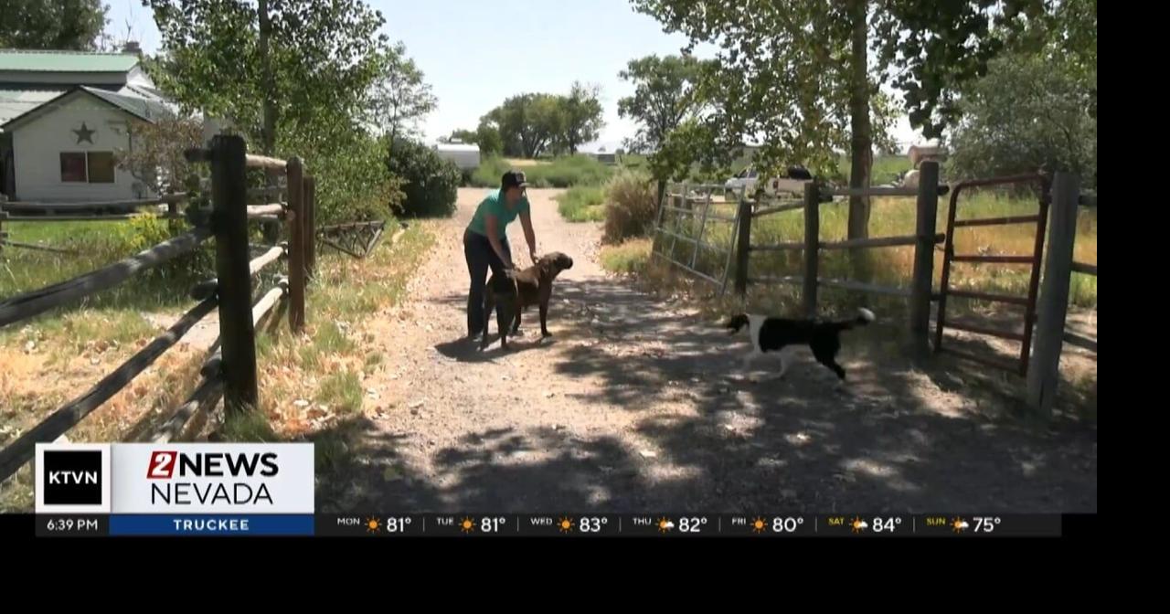Nevada Backroads: Family Ranches | Videos | 2news.com