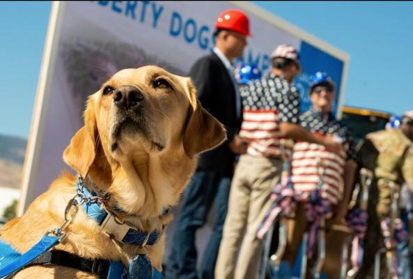 Someone 2 Know: Liberty Dogs | Local News | 2news.com