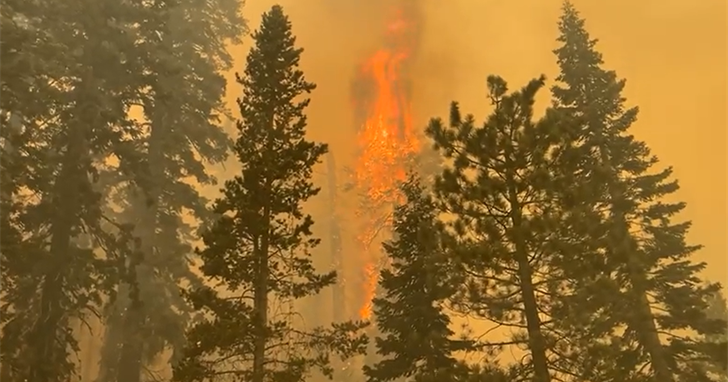 BLM Fire Prevention Team raising wildfire awareness across Nevada ...