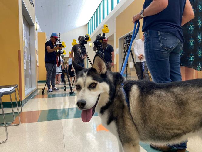 Reno Agencies Unite for Holiday Pet Safety | Mathematics | 2news.com