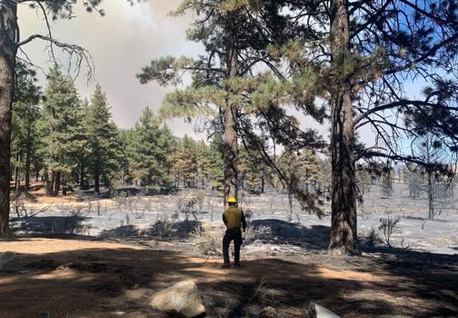 Davis Fire crews to patrol containment lines; 5,824-acres, 92% ...