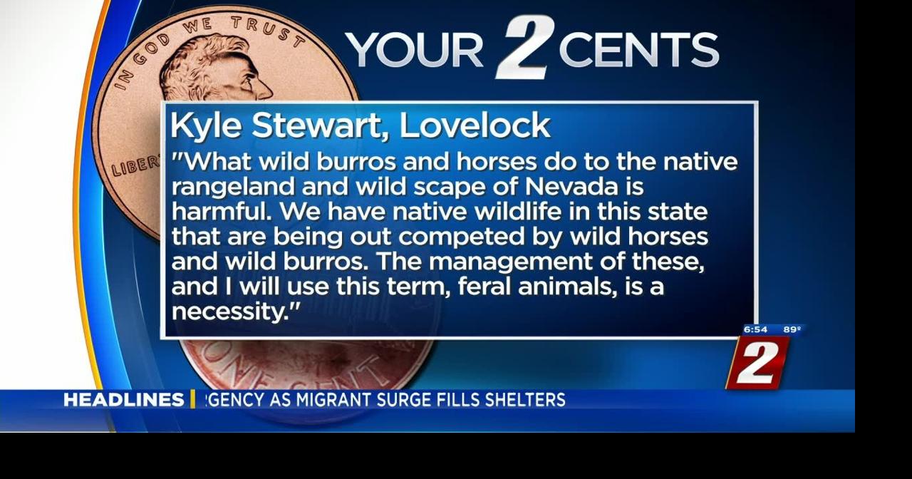 Your 2 Cents: Wild Horses & President Trump | Features | 2news.com