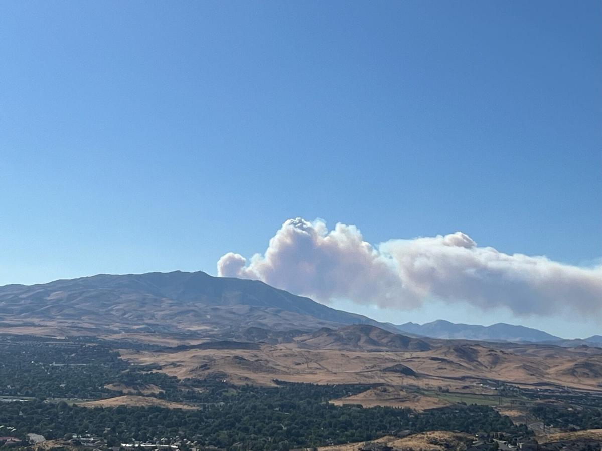 Bear Fire in Sierra County now fully contained at 3,323 acres ...