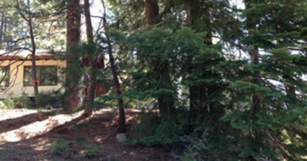 Chipping & Defensible Space Services in North Lake Tahoe Begin May 15 ...