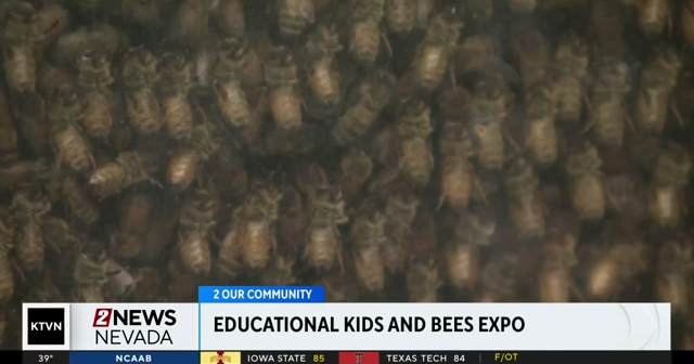 Kids & Bees Expo takes place at the Peppermill | Videos | 2news.com