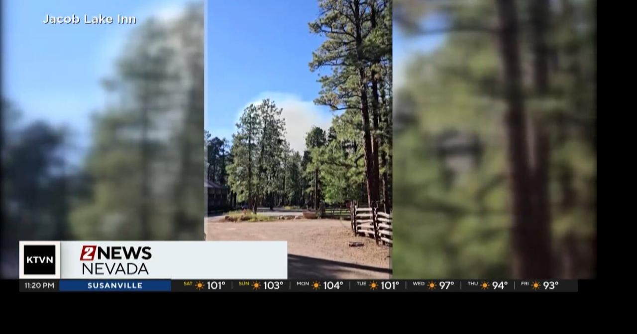 White Sage Fire burning in Arizona | Fire Watch | 2news.com