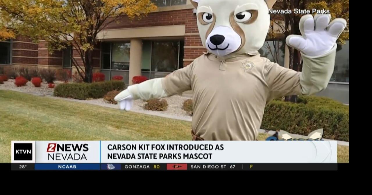 Carson Kit Fox introduced as Nevada State Parks mascot | Local News ...
