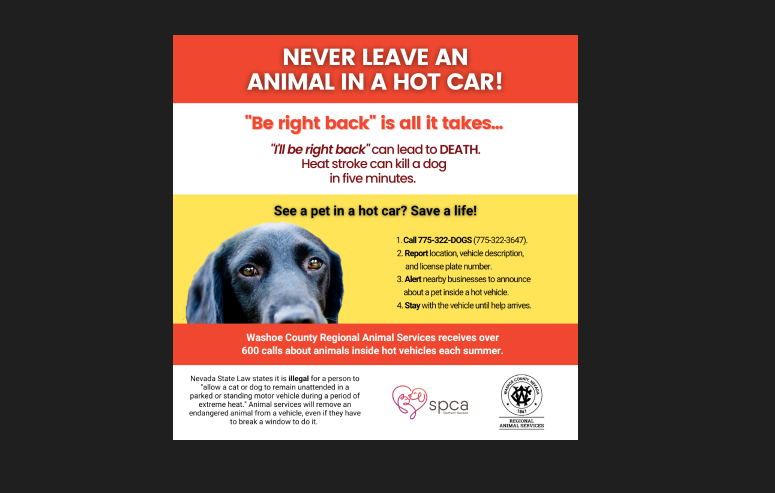 Local Animal Agencies Raise Awareness: Hot Temperatures In Cars is ...