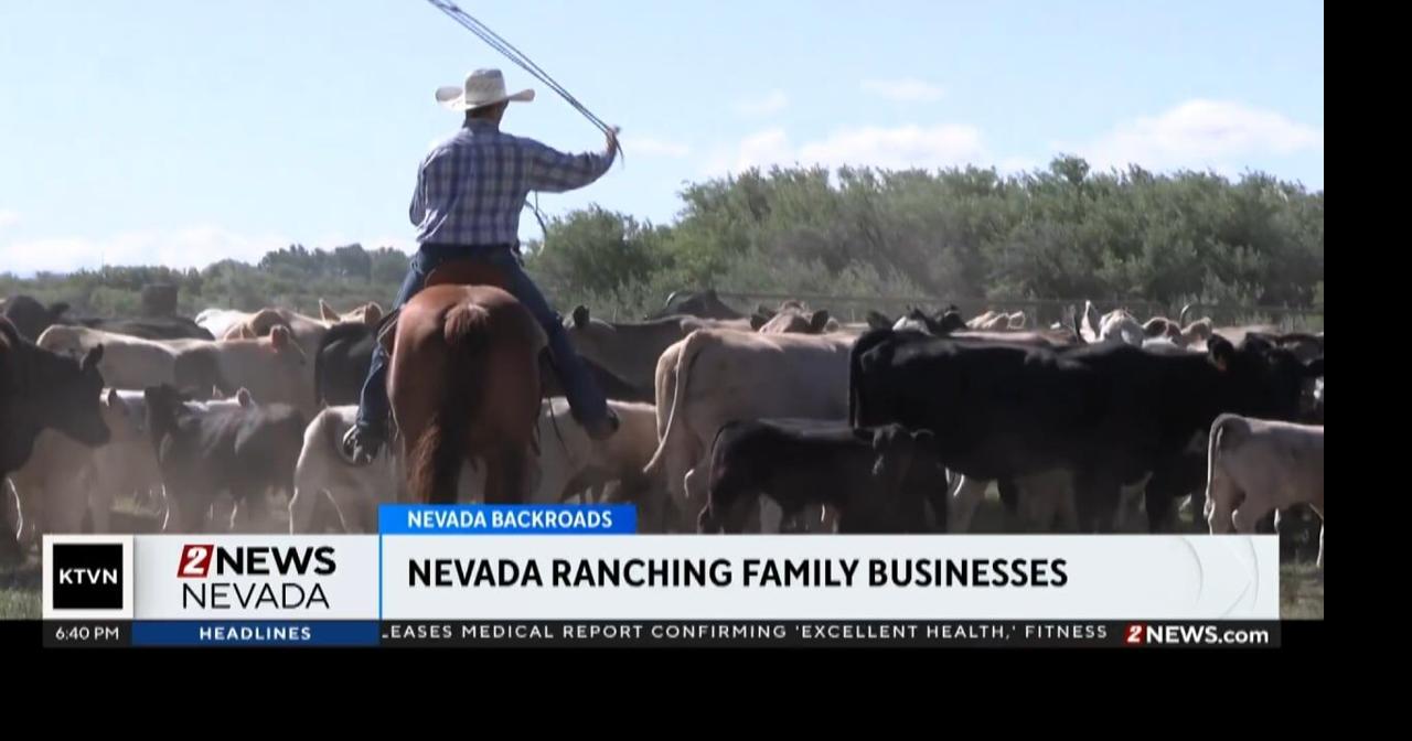 Nevada Backroads: Cattle Ranching | Videos | 2news.com