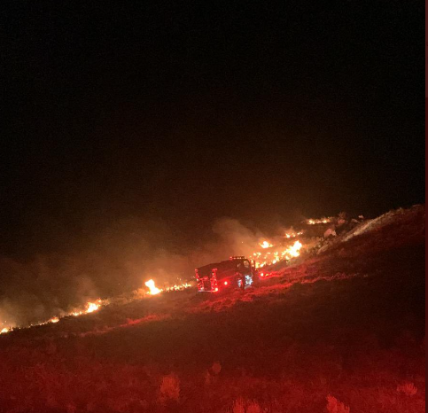 Crews contain brush fire in Cold Springs, believed to have been human ...